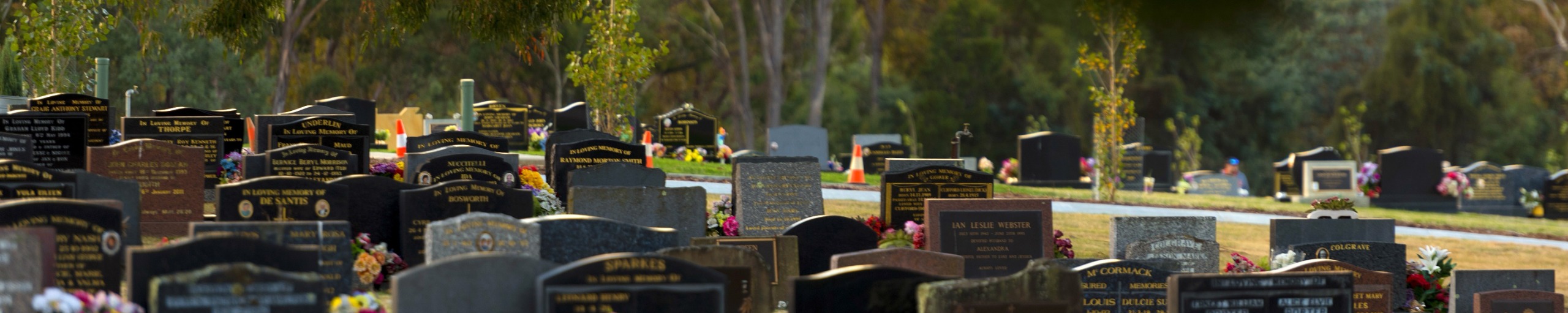 Carr Villa Memorial Park Cemetery Masterplan (Adopted) | Tomorrow ...